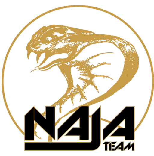 1er essai GRATUIT - Contactez nous - Naja Team